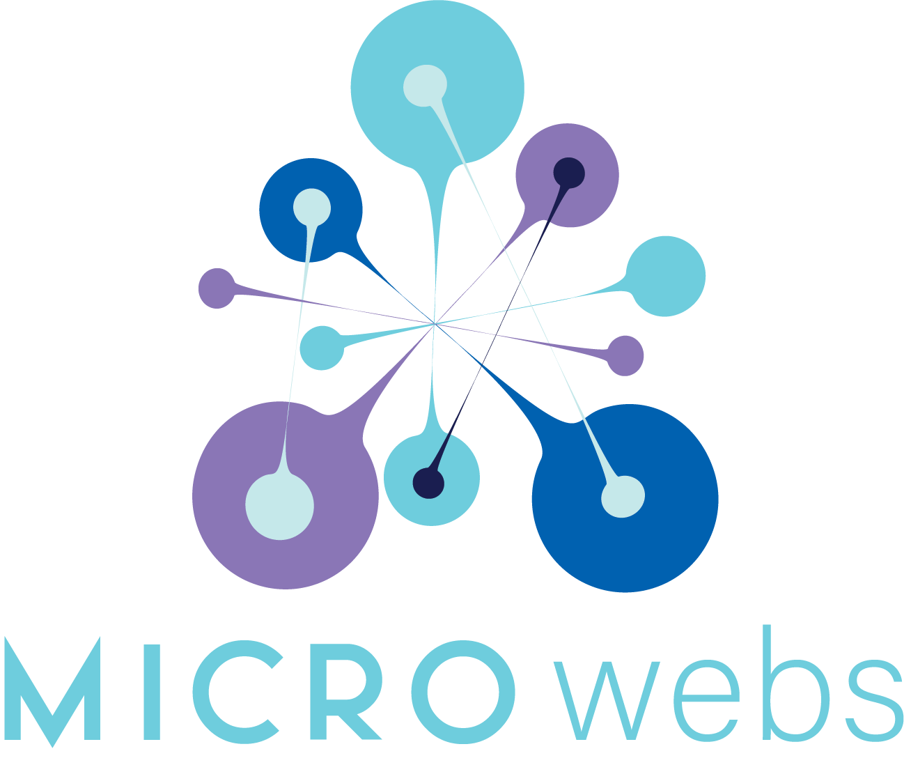 Micro Webs